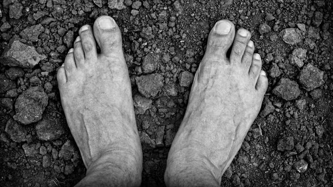 Magnetism and the Human Body - Isha