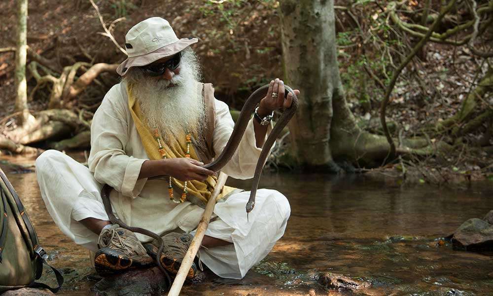 Snakes in Sadhguru’s Life