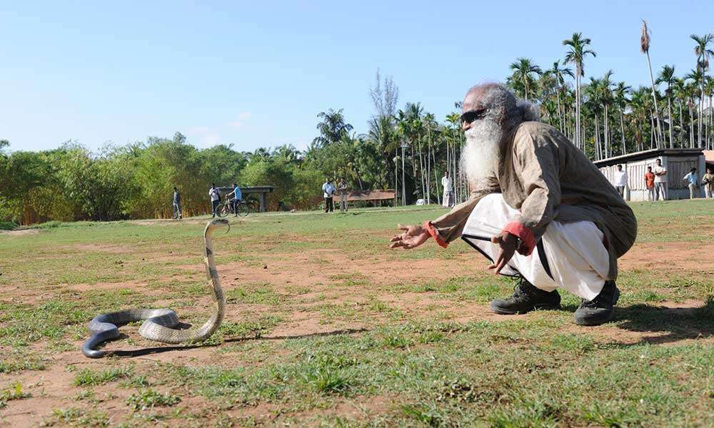 Snakes in Sadhguru’s Life